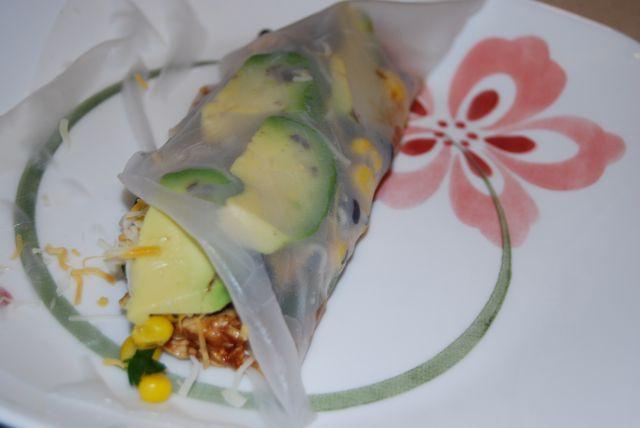 Mexican Spring Rolls