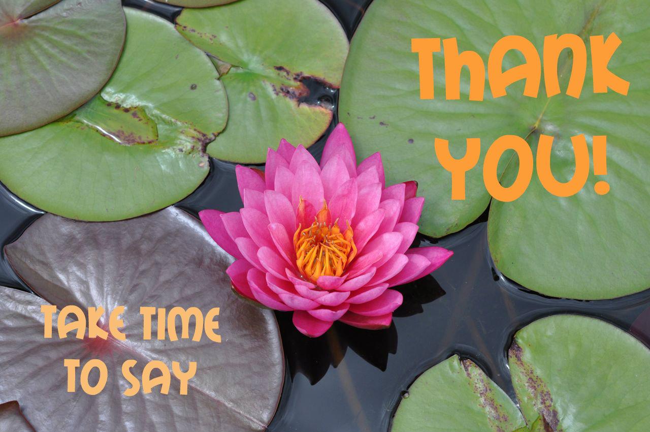 Take the Time To Say Thanks | Thank Your Readers