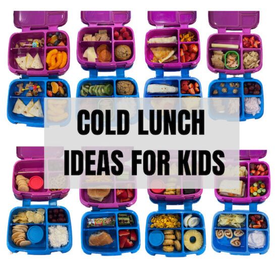 Kids Cold Lunch Ideas| Real lunchboxes from an RD mom!